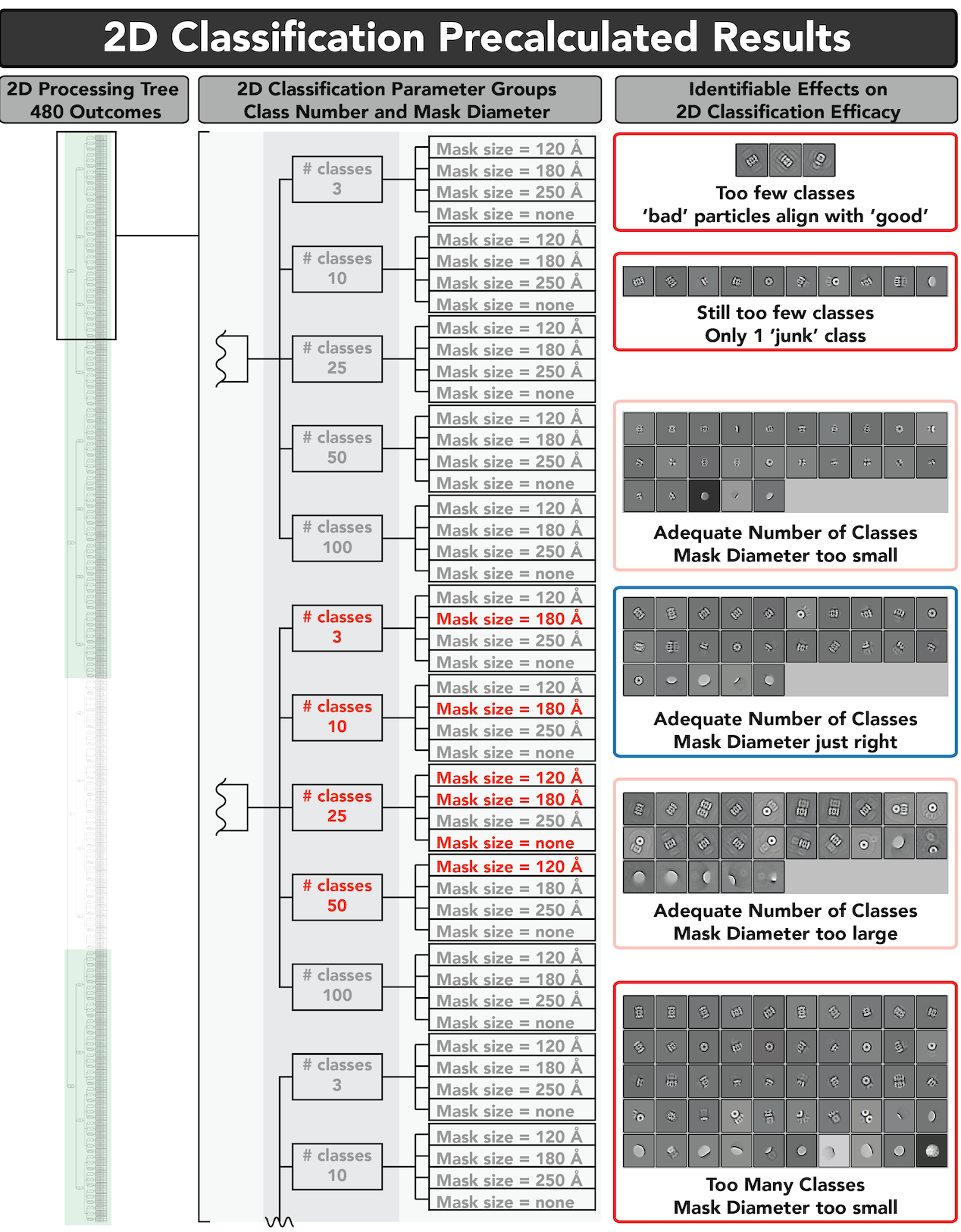 RELION simulator – cryoEDU