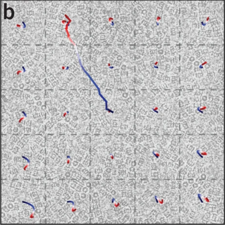 Chapter 1 – Preprocessing – cryoEDU