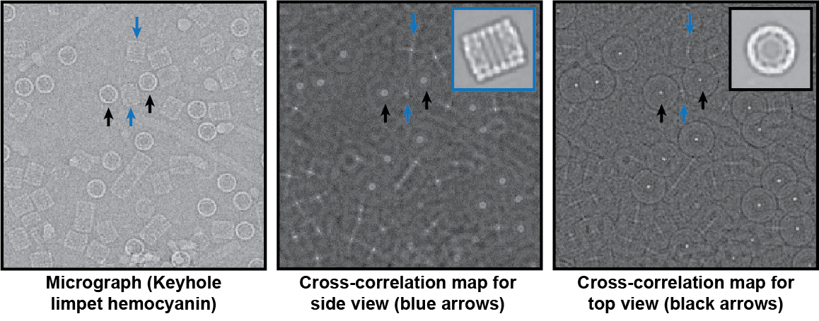 Chapter 1 – Preprocessing – cryoEDU