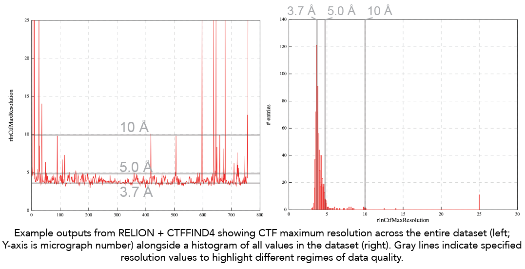 Chapter 1 – Preprocessing – cryoEDU