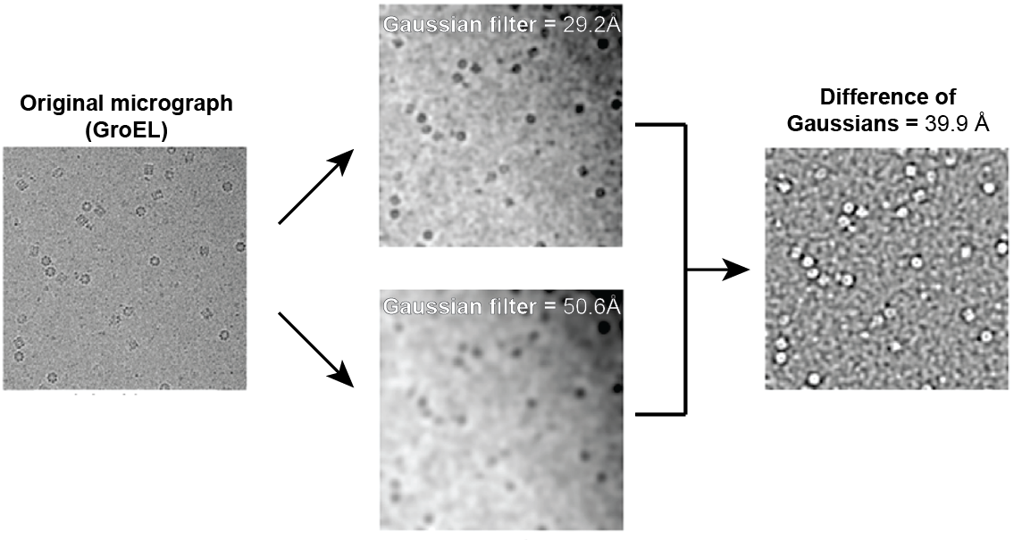 Chapter 1 – Preprocessing – cryoEDU