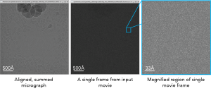 Chapter 1 – Preprocessing – cryoEDU
