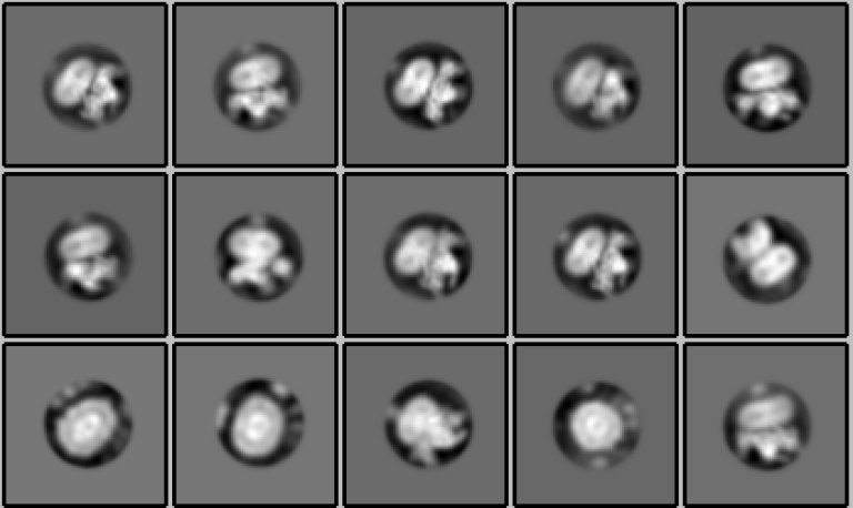 Chapter 2 – Data curation – cryoEDU