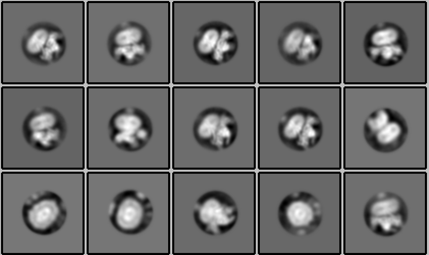 Chapter 2 – Data curation – cryoEDU