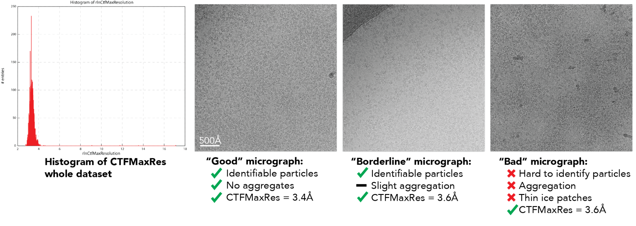 Chapter 2 – Data curation – cryoEDU