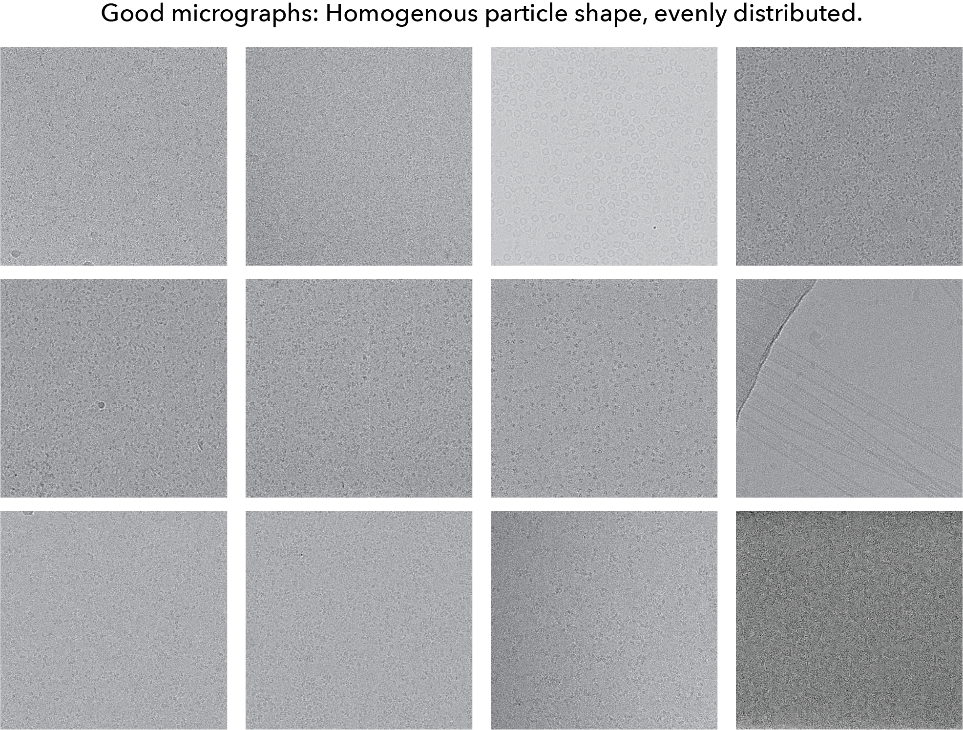 Chapter 2 – Data curation – cryoEDU
