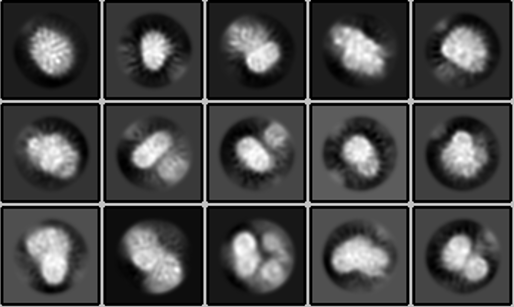 Chapter 2 – Data curation – cryoEDU